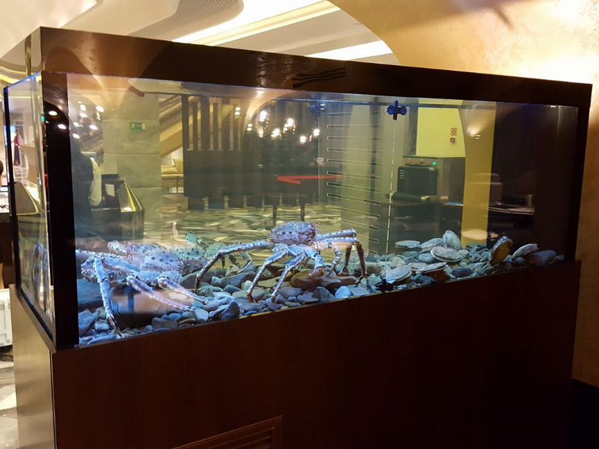 Аквариум в Аренду для живых морепродуктов