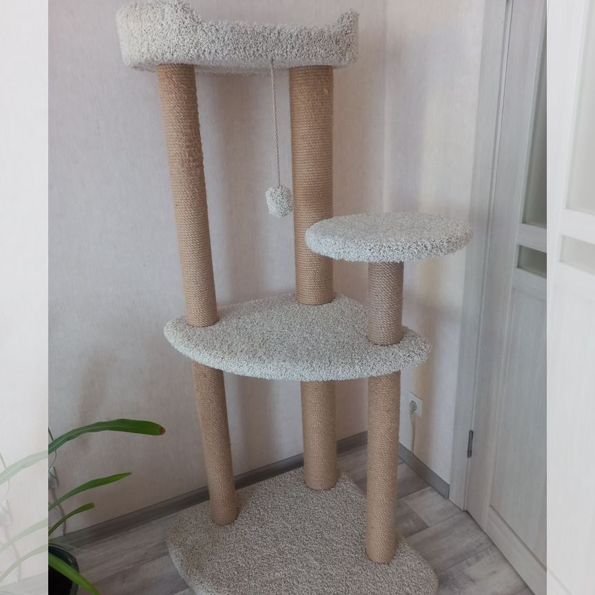 Когтеточка для кошек