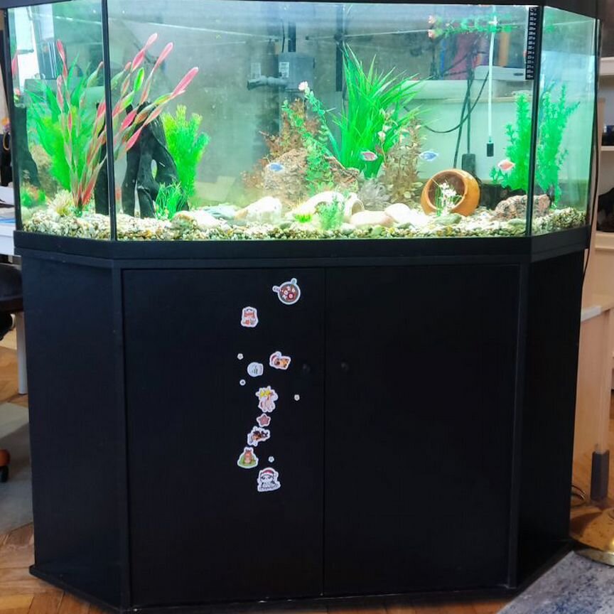 Аквариум угловой juwel