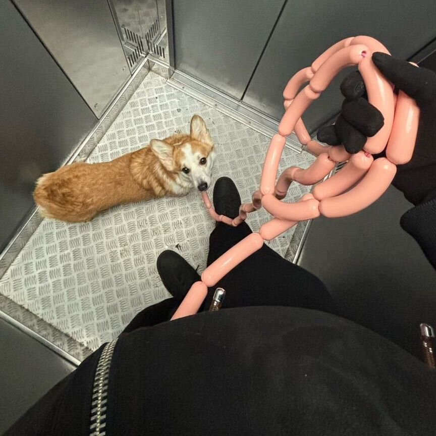 Поводок из сосисок сосисочный поводок для собак