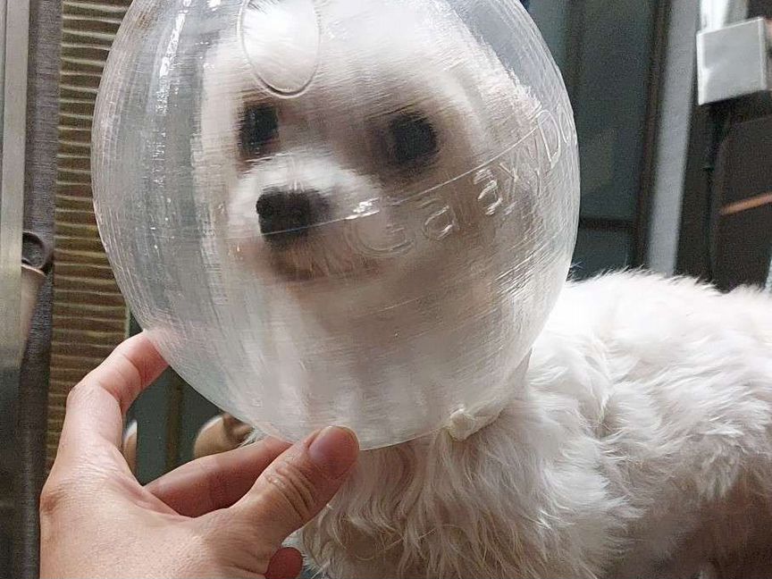 Защитный наголовник для груминга,вет. клиник