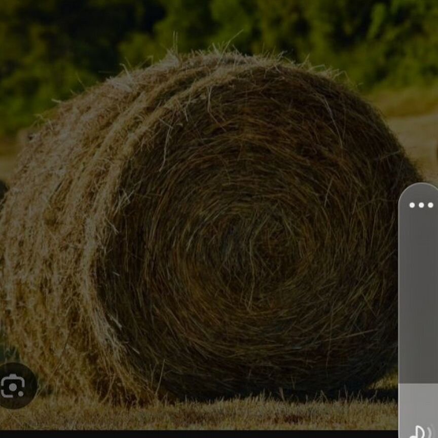 Продам сено в рулонах