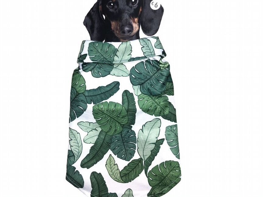 Рубашка для собачки