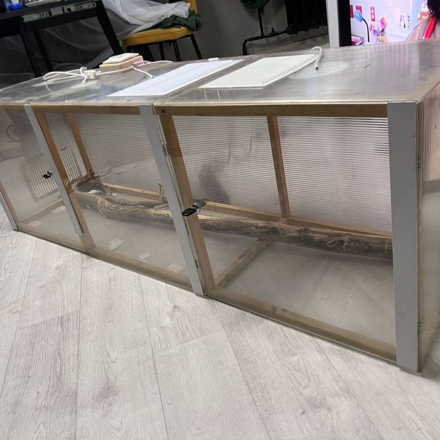 Террариум из оргстекла