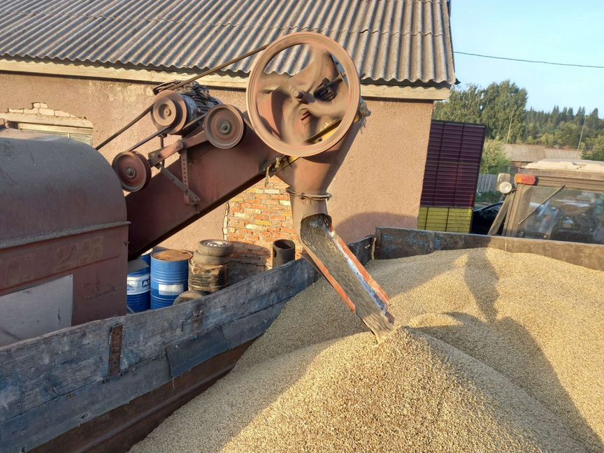 Ячмень10 мука фуражная11 доставка