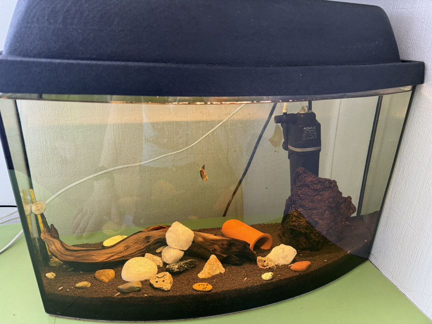 Аквариум с рыбками