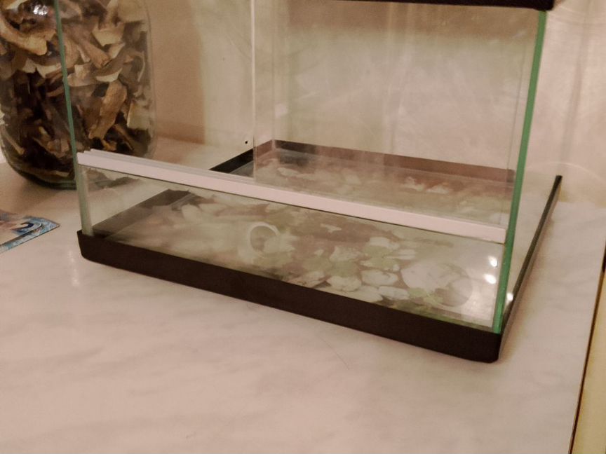 Террариум для эублефара