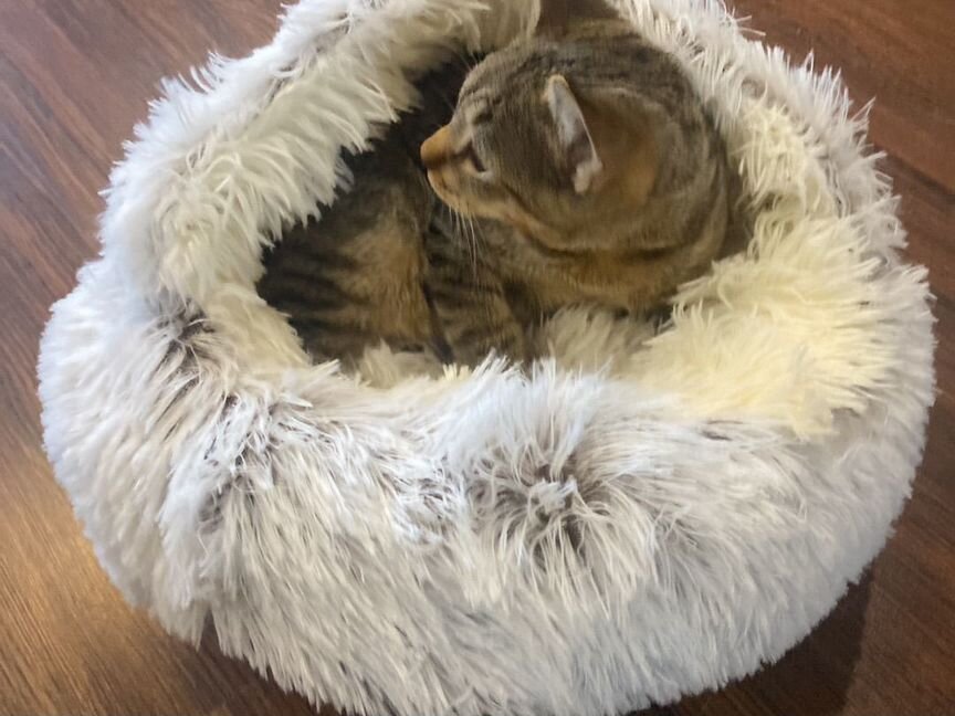 Лежанка для собак и кошек