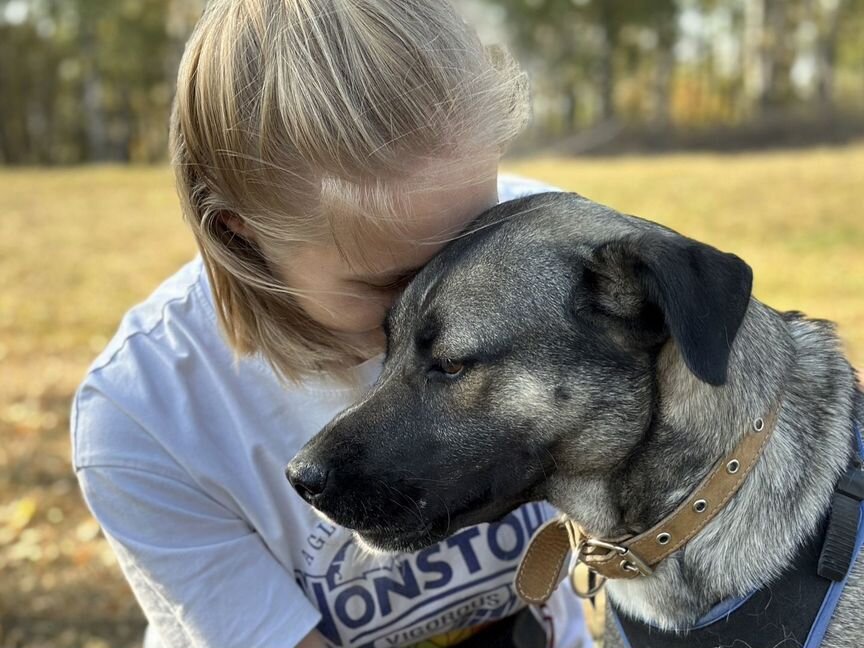 Собака с тяжелой судьбой из приюта