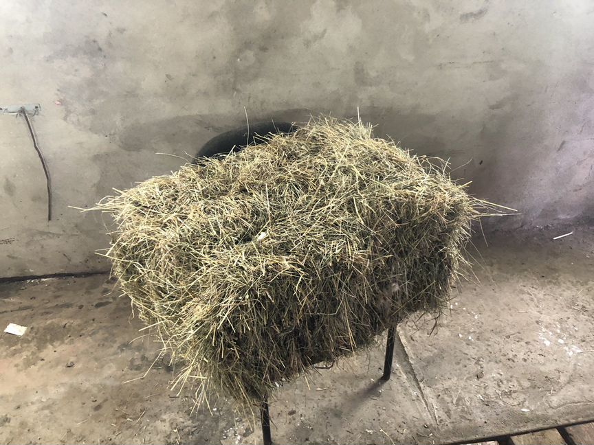 Сено солома в тюках