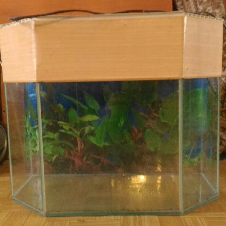 Аквариум 45л