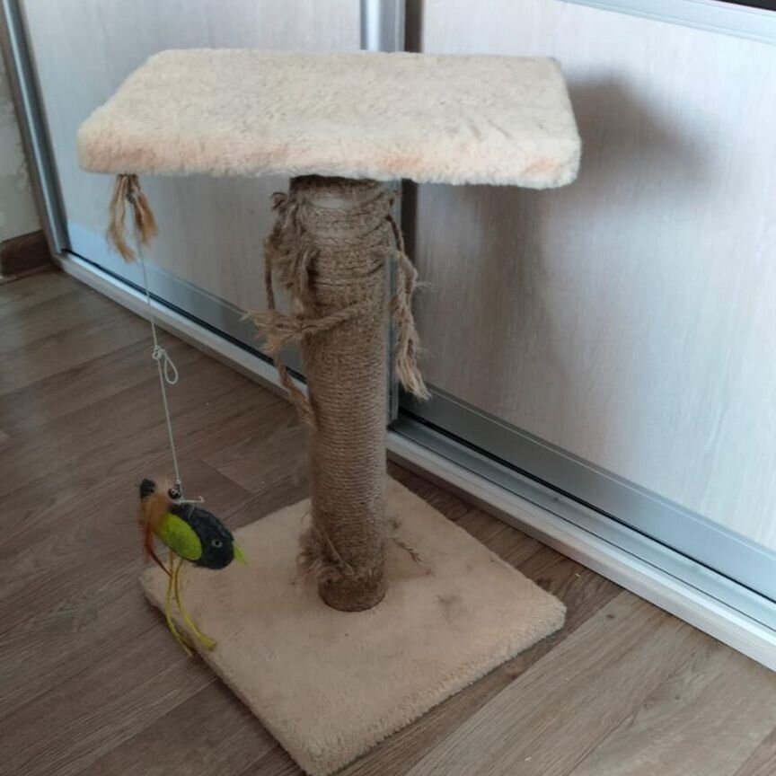 Когтеточка