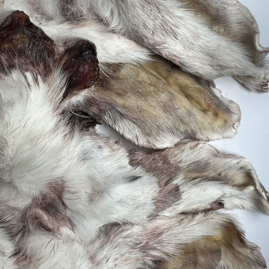 Уши Лапы Хвосты кролика сушенные для собак