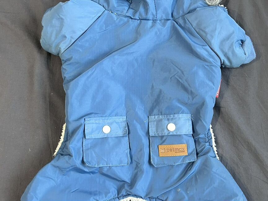 Одежда для маленькой собаки