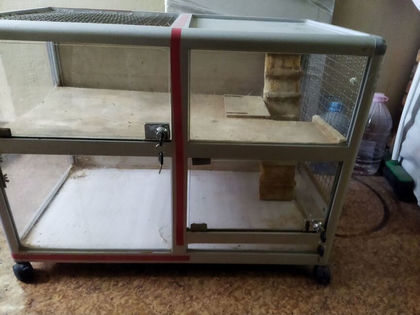 Клетка витрина для морской свинки