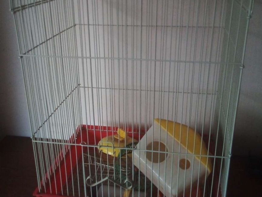 Клетка для грызунов большая