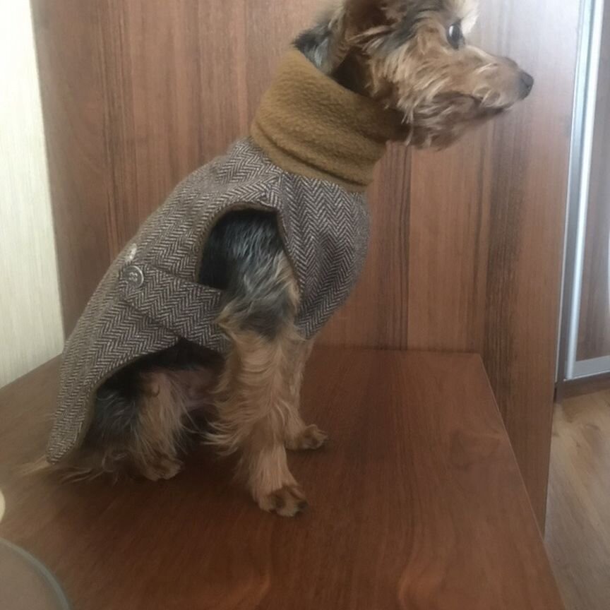 Пальто для собаки Япония