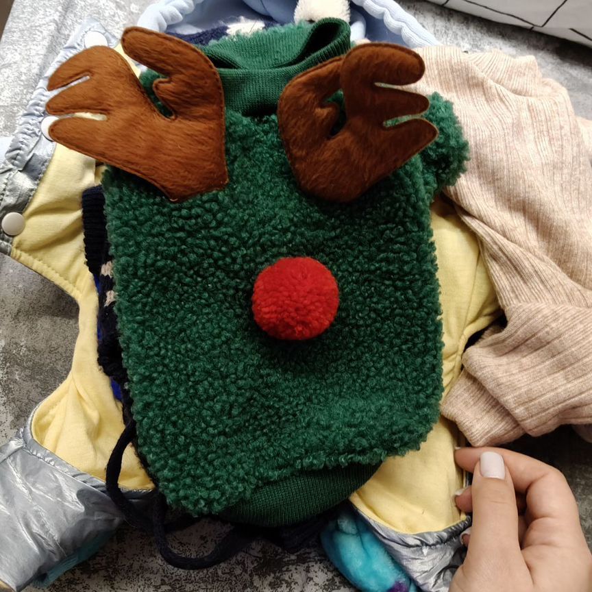 Одежда для маленьких собак