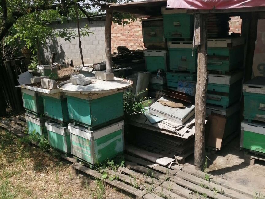 Раманос для пчел