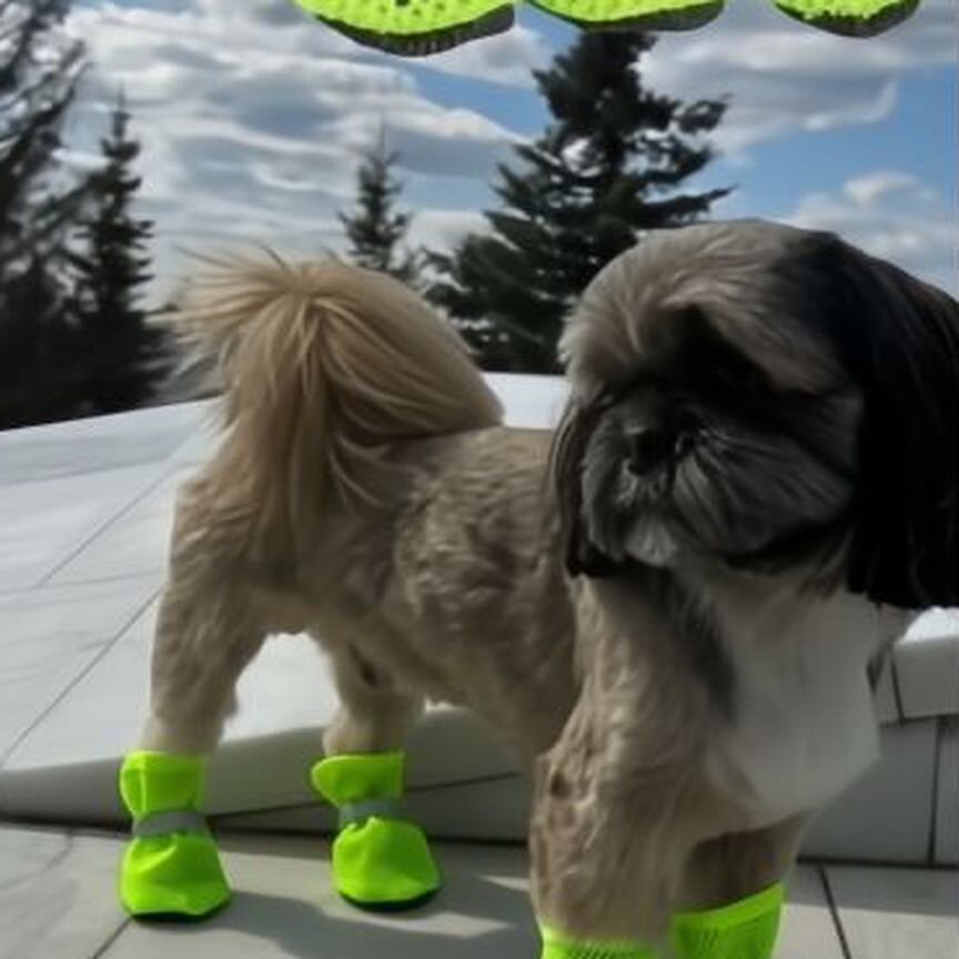 Летняя обувь для собак