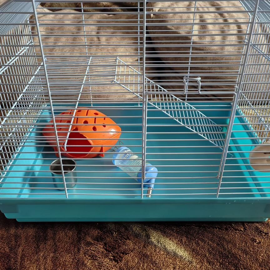 Клетка для грызунов