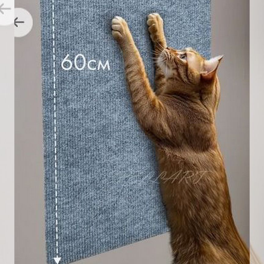 Когтеточка