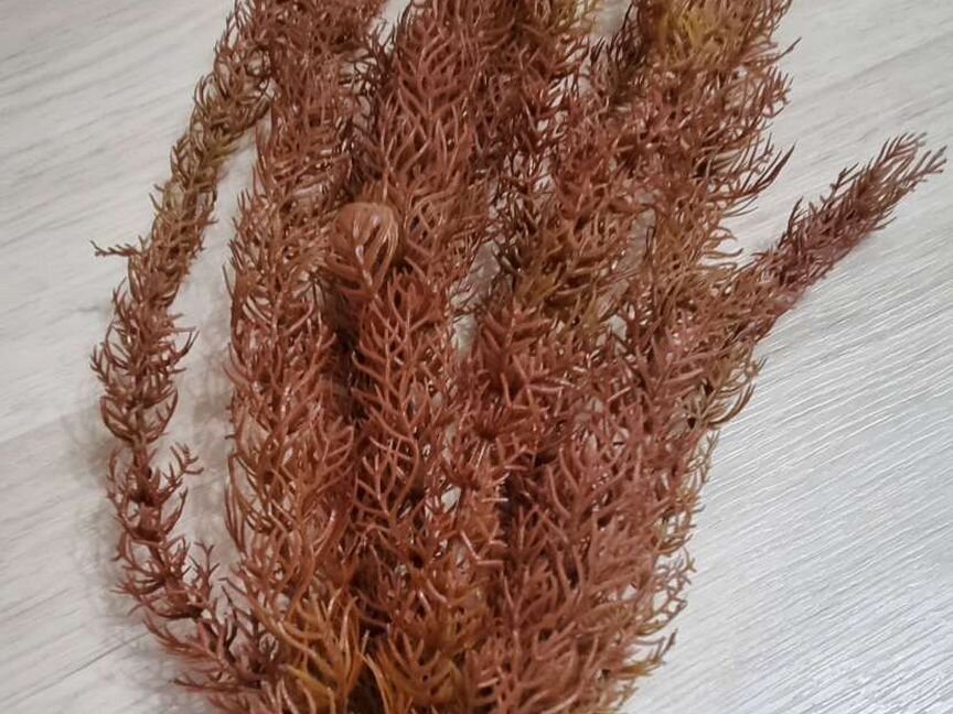 Аквариум,грунт,гроты,расстение,кораблик,плот