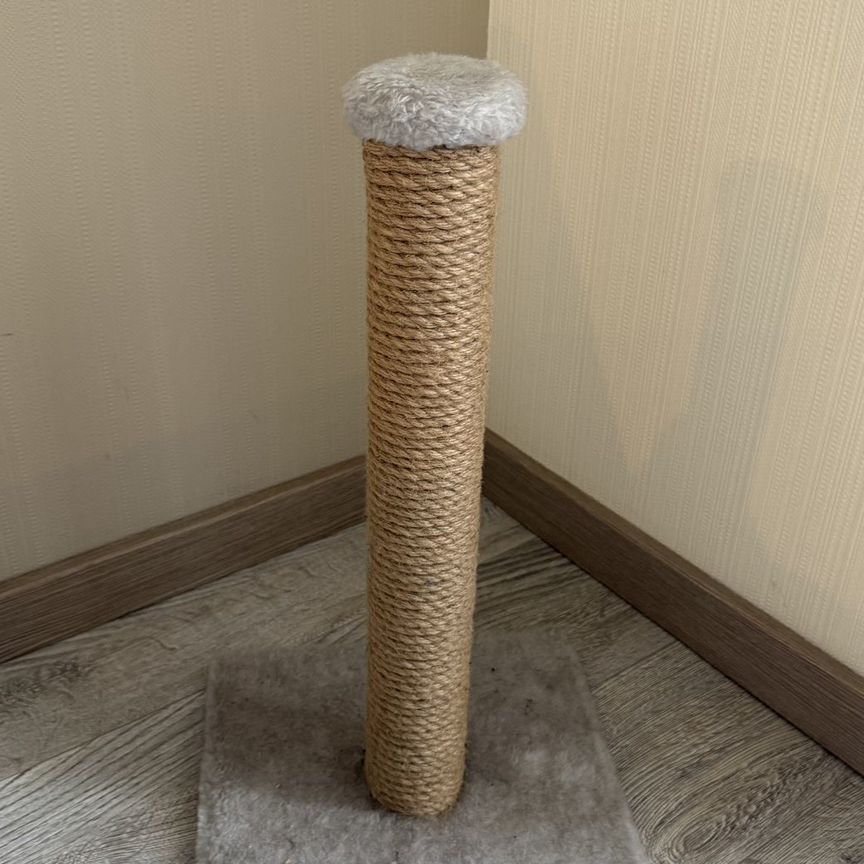 Когтеточка