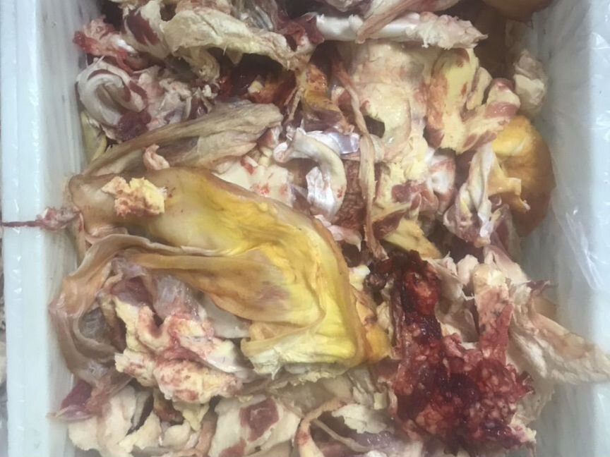 Говяжьи обрези для собак