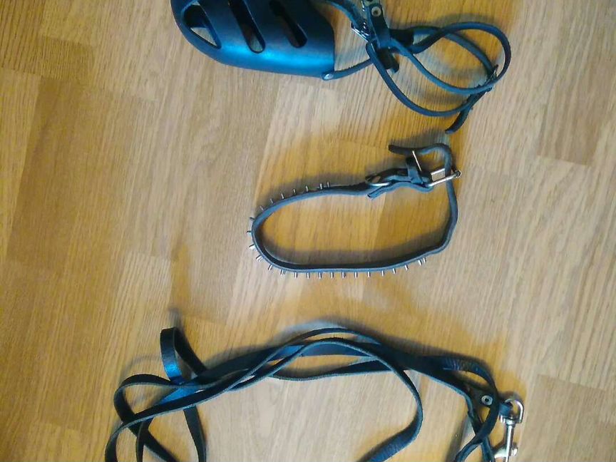 Намордник на овчарку поводок и миска для собак