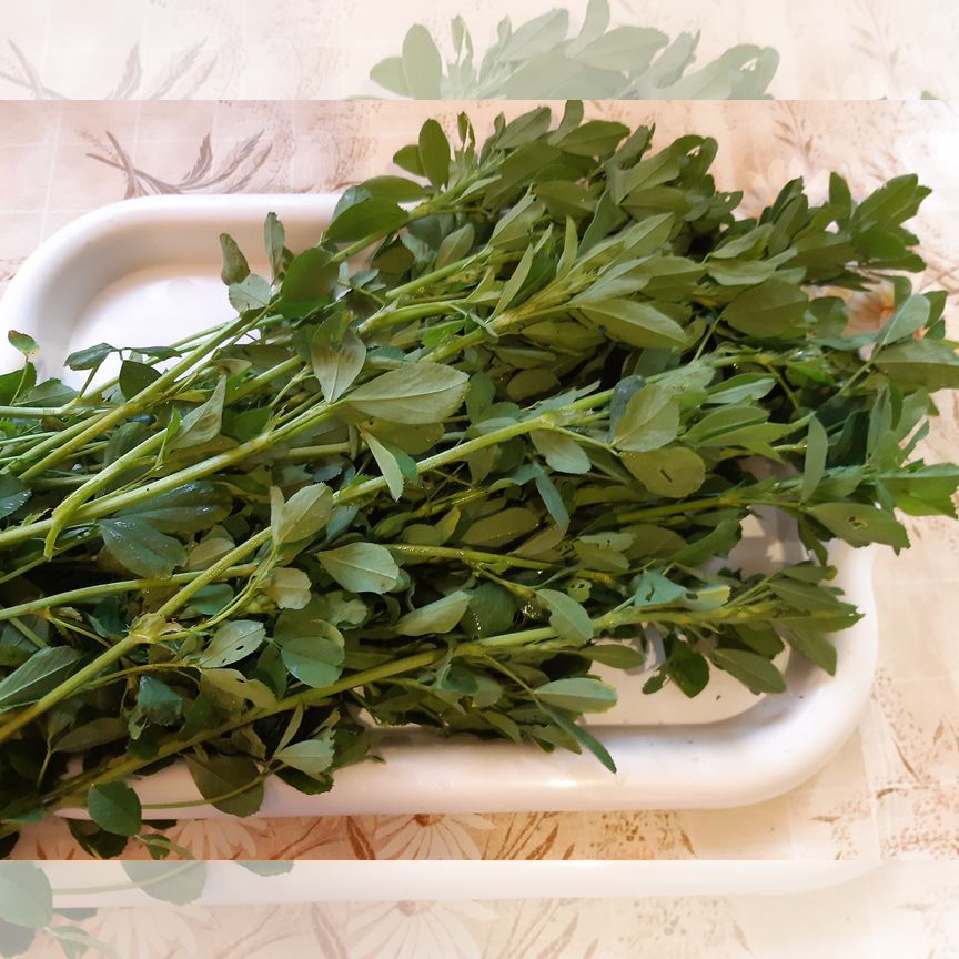 Люцерна скошенная в мешках