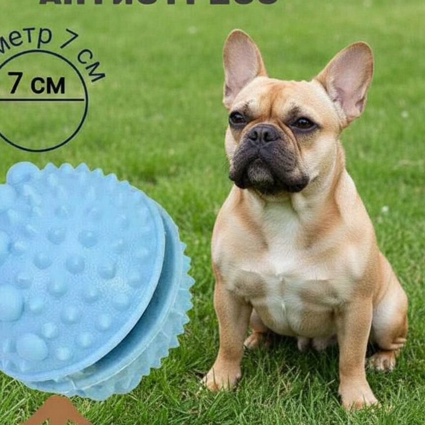 Мячик для собак