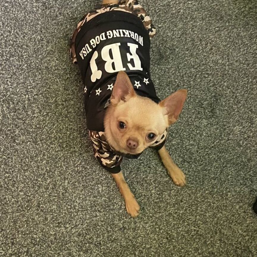 Ищем невесту