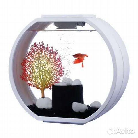 Аквариумный набор 20 л AA аквариум Deco купить в Москве | Животные и ...