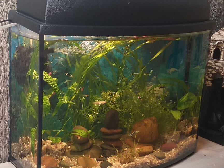 Аквариум панорамный с крышкой -35л