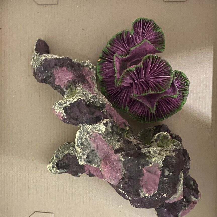 Аквариум под ключ