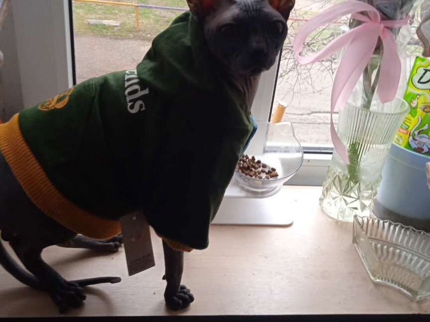 Котик на вязку