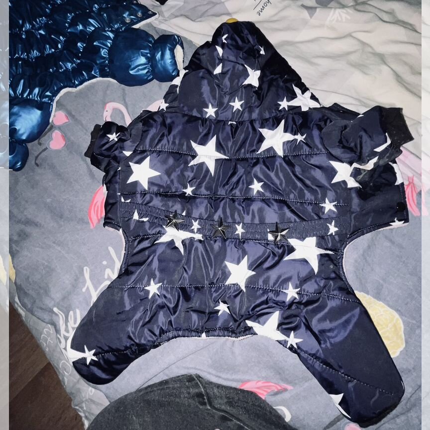 Одежда для собак мелких пород зима