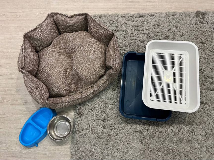 Лоток для кошек, лежанка, миски, переноска