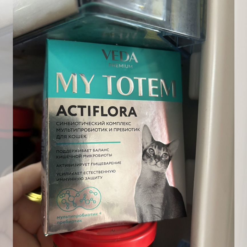 Пробиотик актифлора для кошек