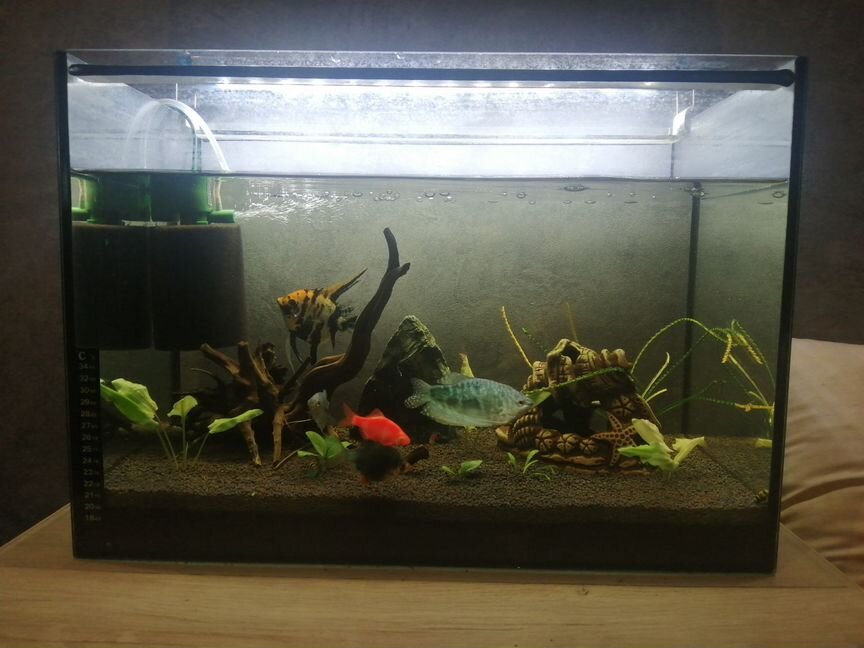 Аквариум 50л