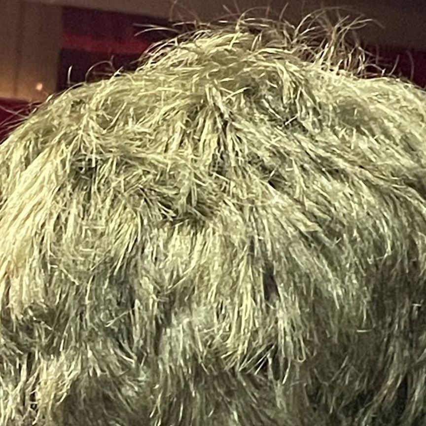 Продам сено в рулонах