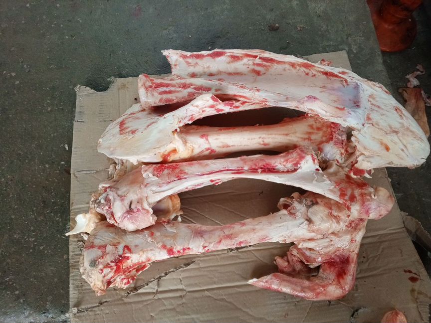 Косточки для собак