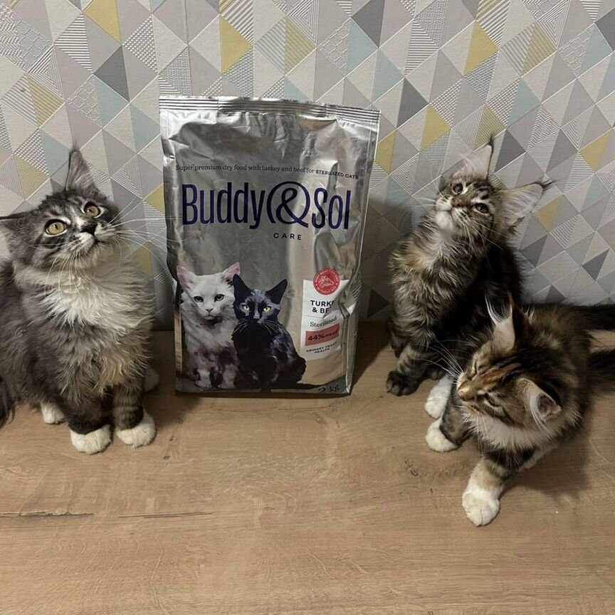 Мейнкун