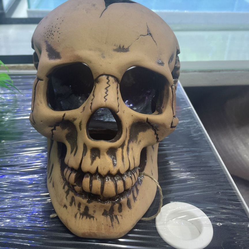 Аквариумный decor