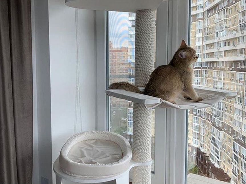 Когтеточка домик для кошки