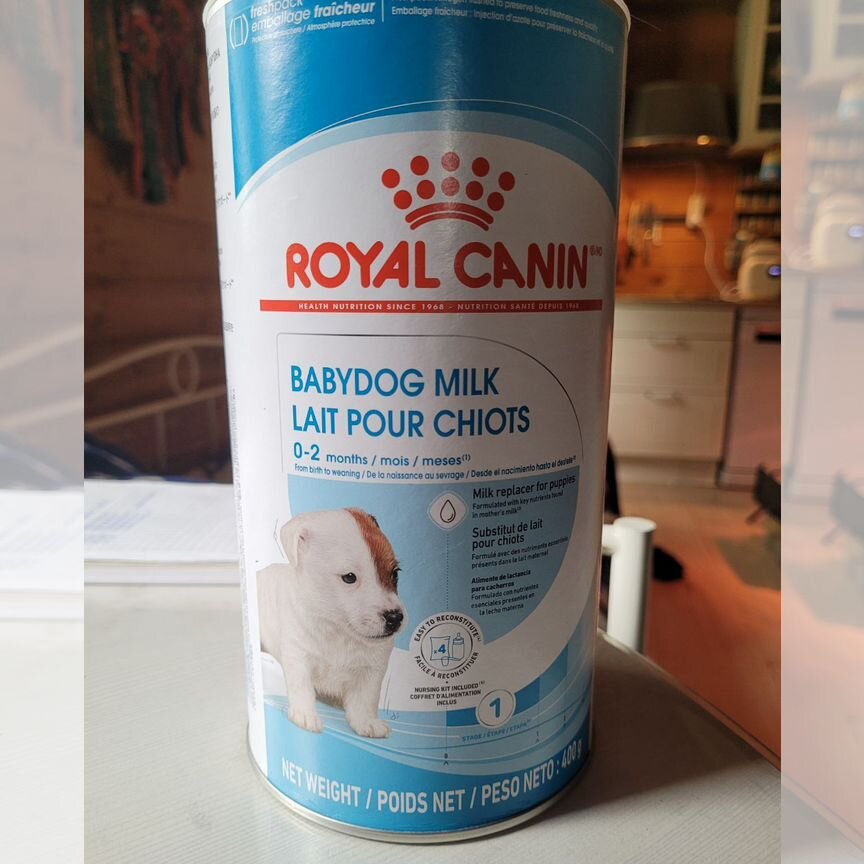 Заменитель сучьего молока Royal Canin