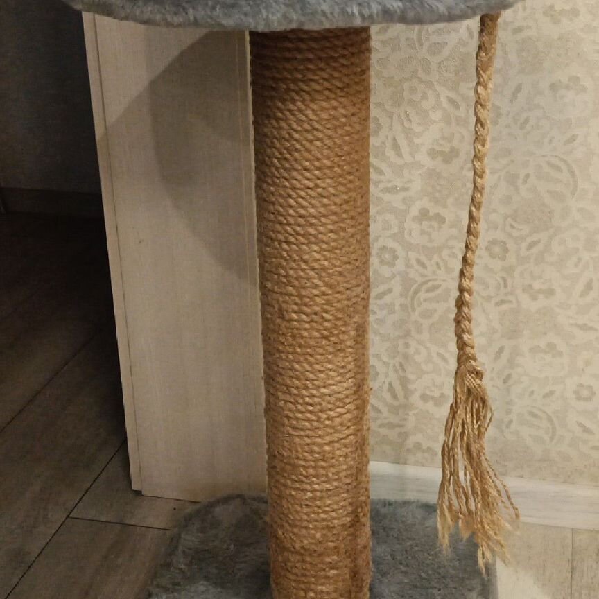 Когтеточка