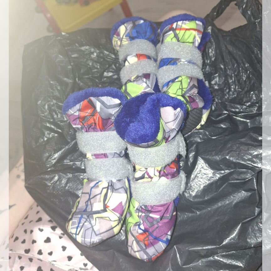 Ботинки для собак