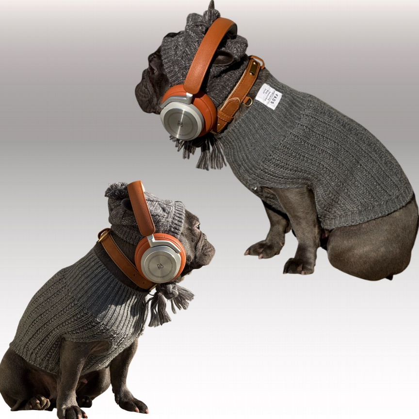 Ошейник для собак